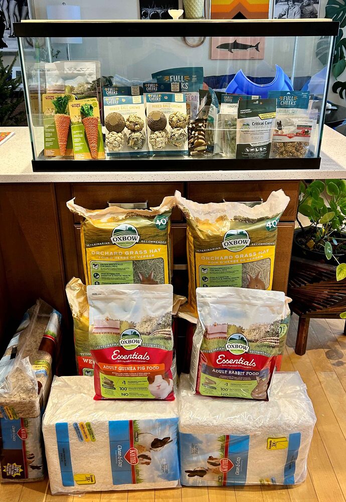 Blog / Celebrating a Year of Giving / GeoVerra